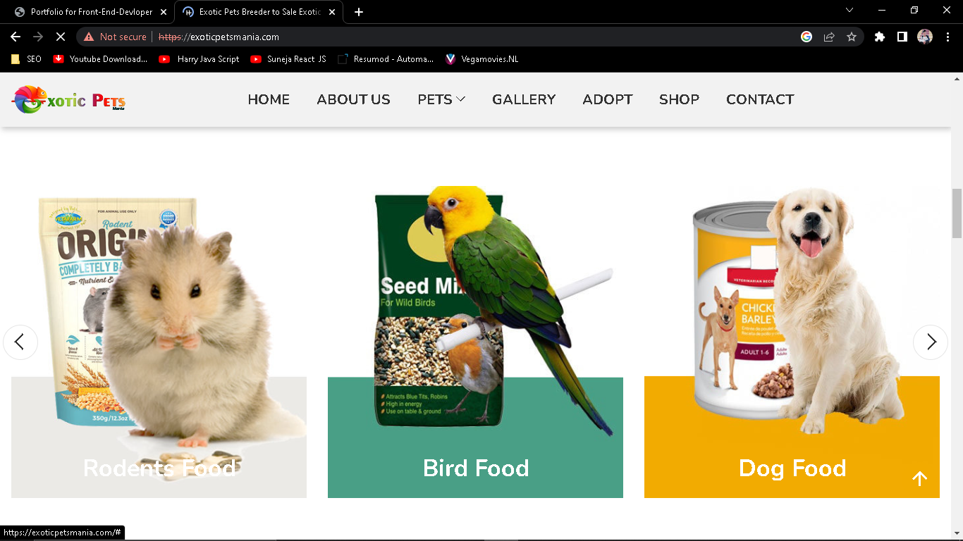 Software Developer Portfolio - Abdul Ahad